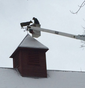 At $23,100, A Large Cow VaneTops Bob Prozzo’s Auction - Antiques And ...