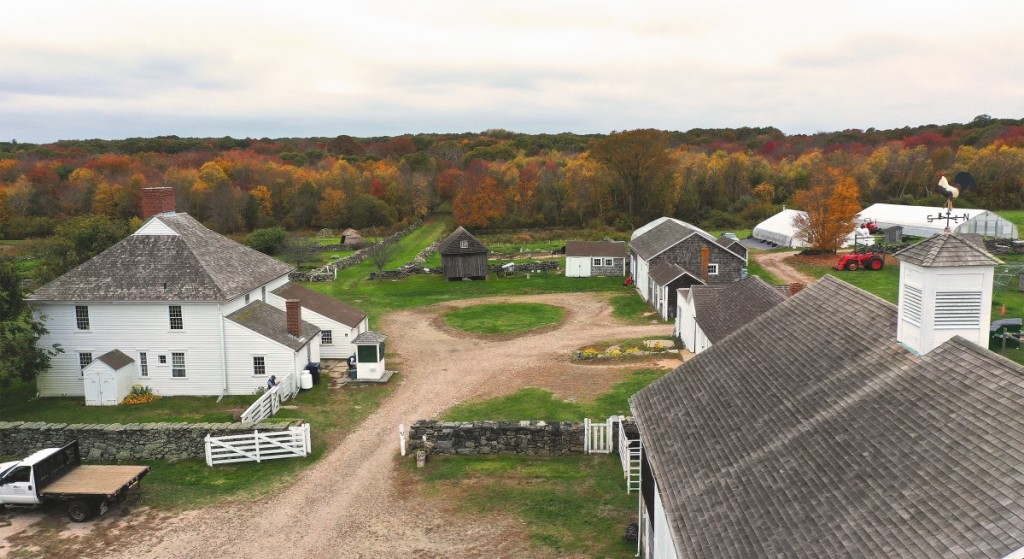 Q&A: Gwendolyn Smith