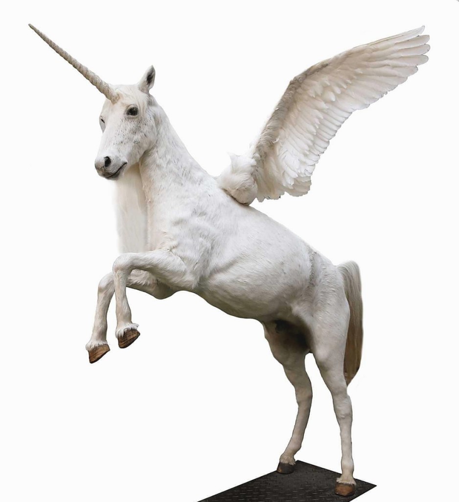 Sworder’s ‘Out Of The Ordinary’ Sale: The Medical, Mythical & Macabre