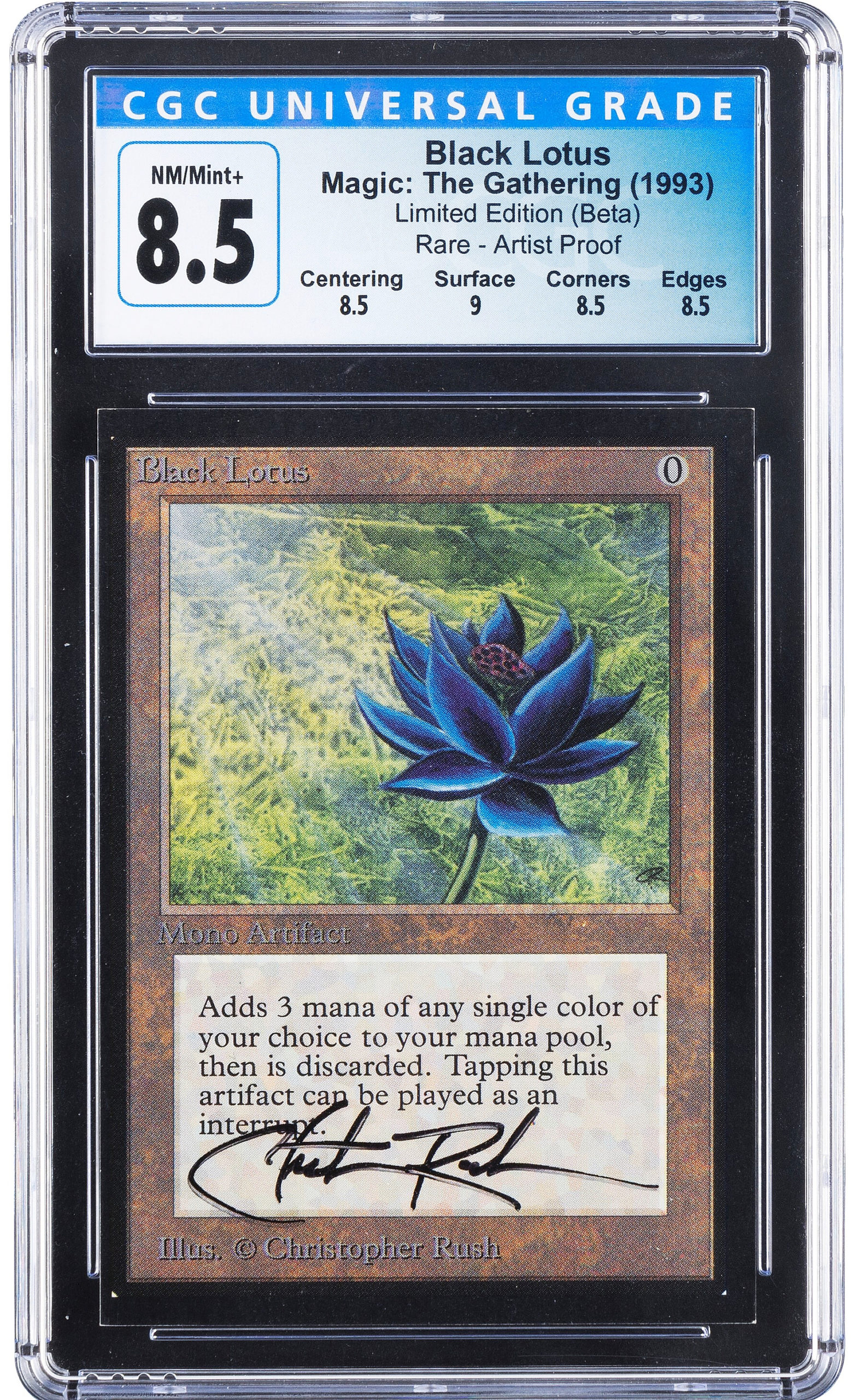 Black Lotus Blooms At Heritage Auctions - Antiques And The Arts Weekly