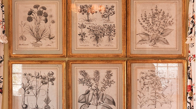Besler Botanicals Blossom At Stair - Antiques And The Arts Weekly